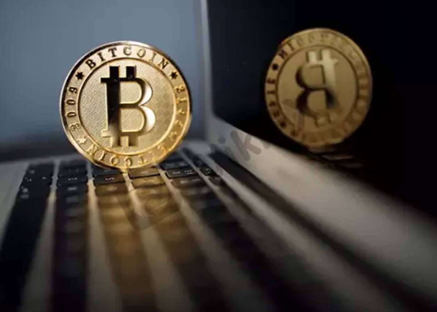 Bitcoin vs Altcoins: Which is the Best Investment to Choose?