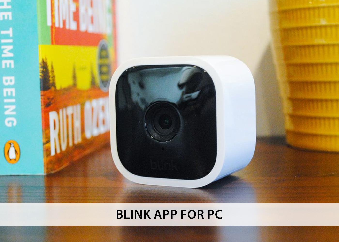 Blink App for PC