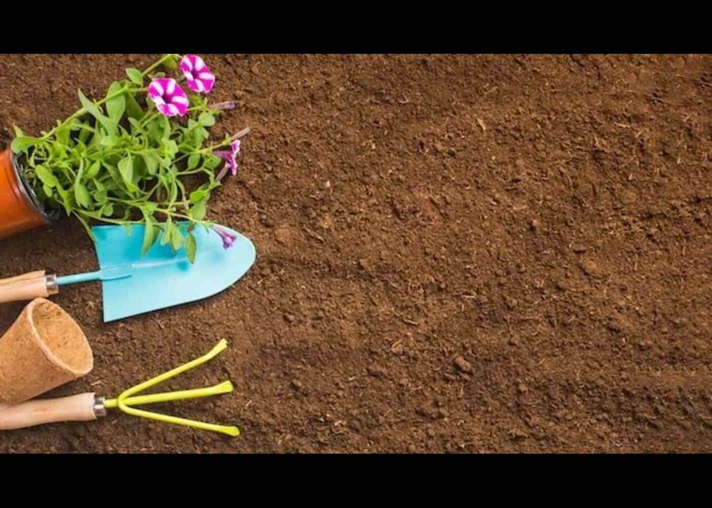 Garden Soil Health: Boosting Nutrients for Vibrant Gardens