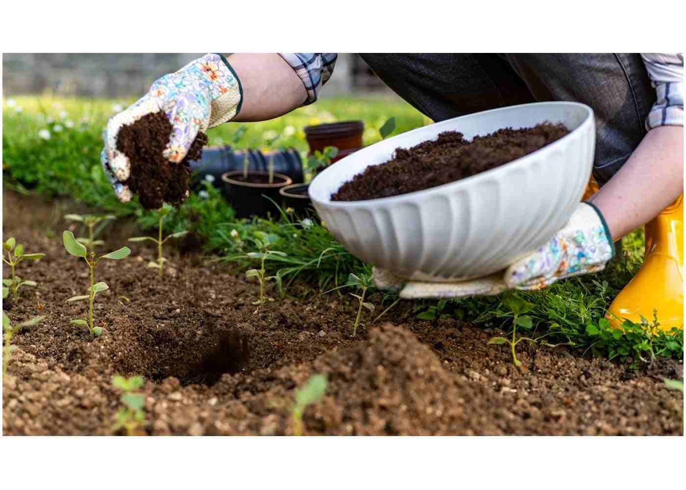 How To Maintain Fertile Soil How To Maintain Fertile Soil