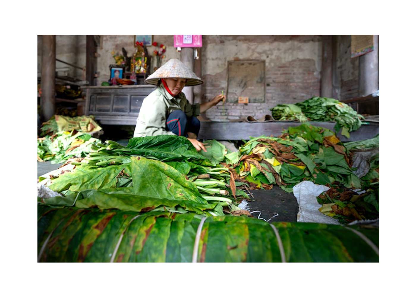 The History and Evolution of Tobacco Products