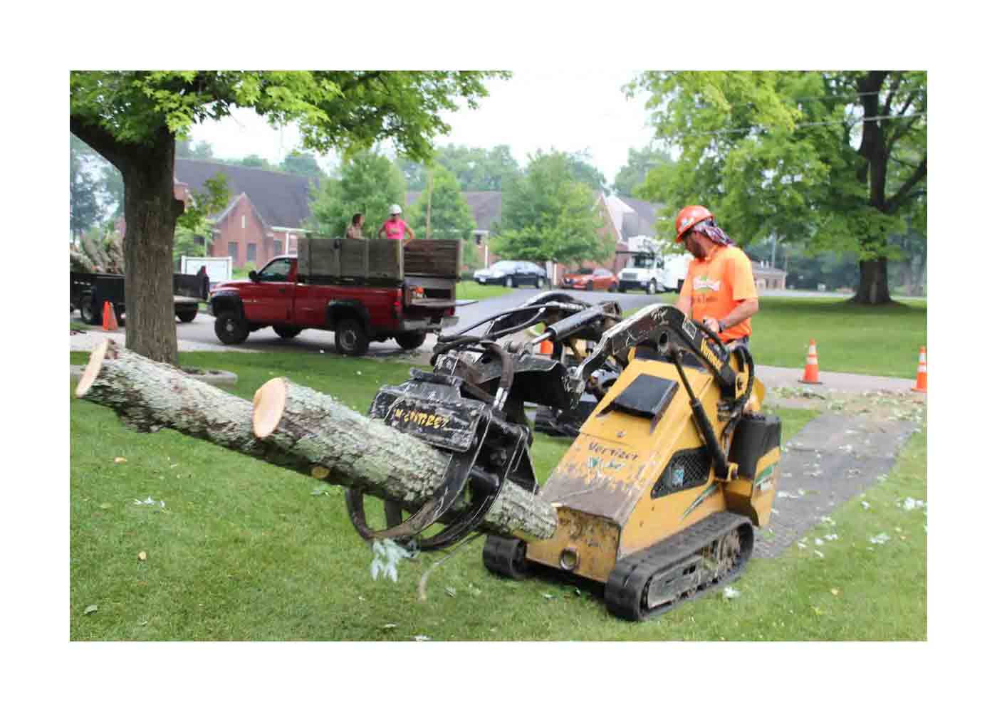 Transform Your Landscape with Pro Brush Clearing Services