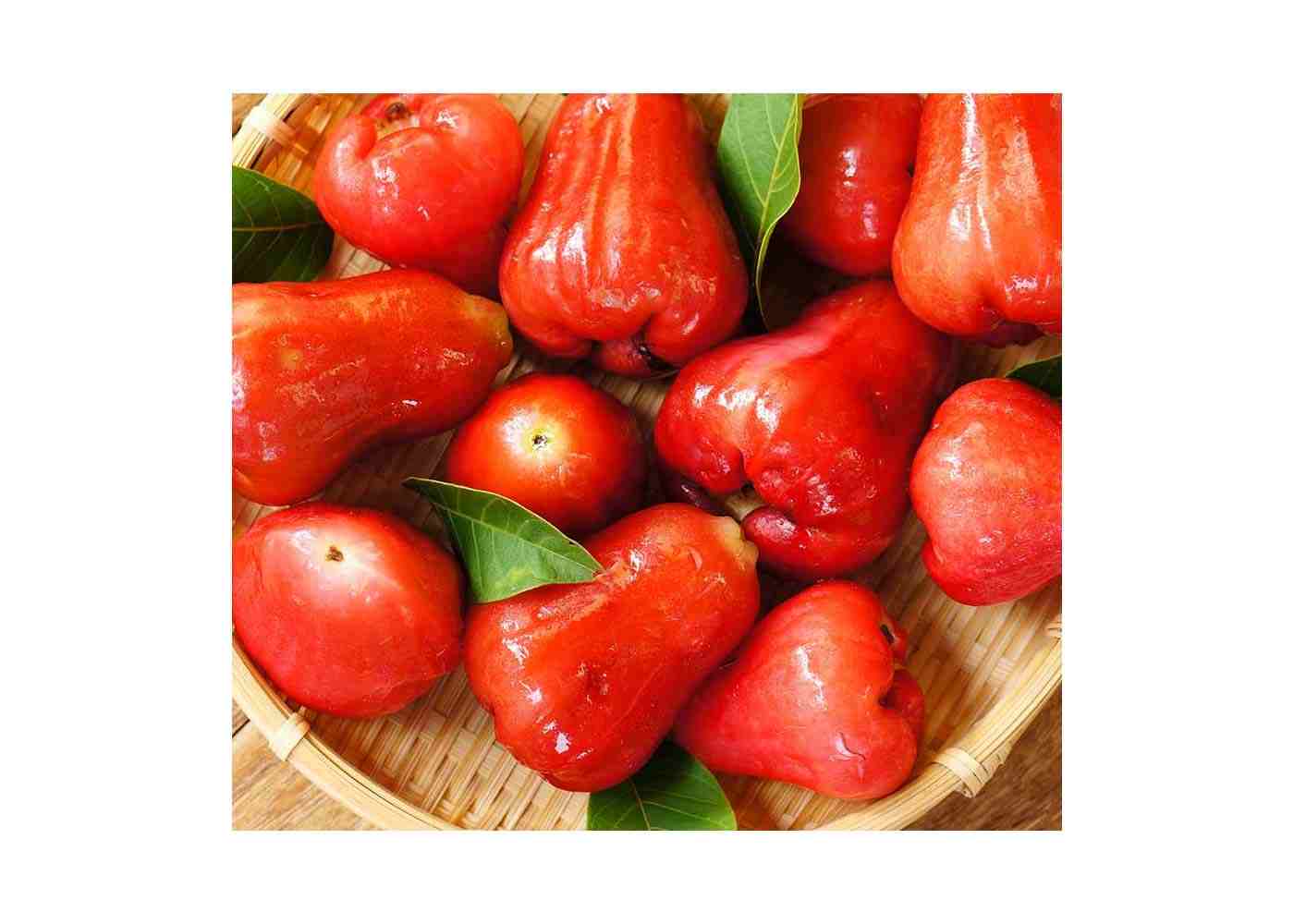 Unlocking the Potential of Water Apple for Skin Care