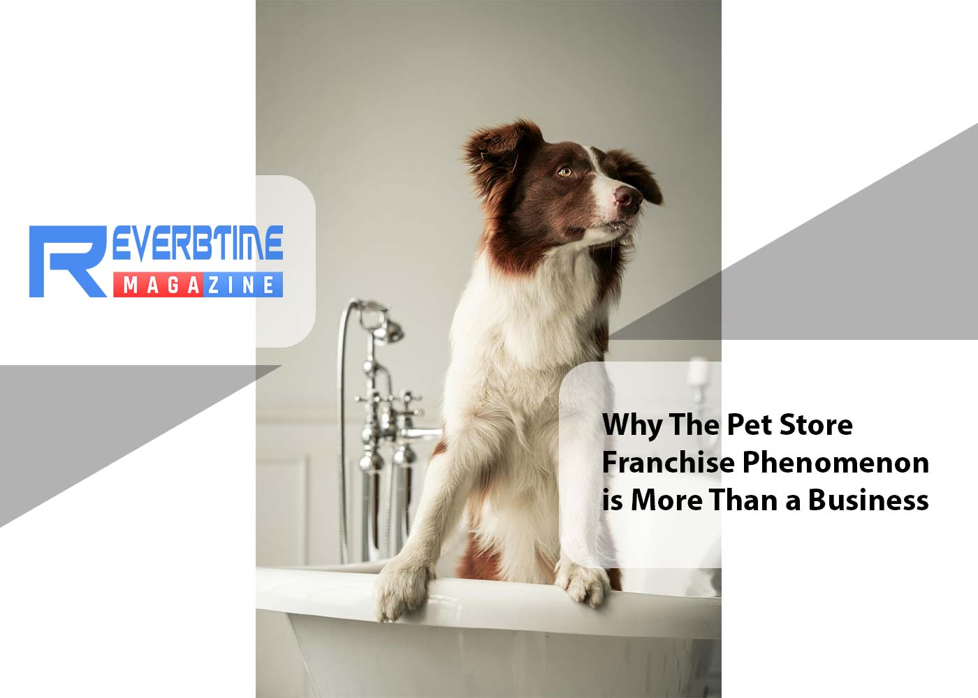 Why The Pet Store Franchise Phenomenon is More Than a Business